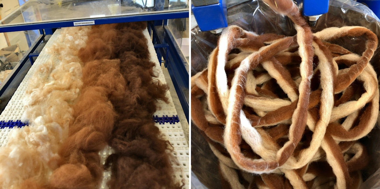 From Alpaca Pasture to Pullover | Farm & Fiber Knits