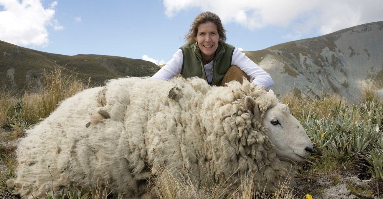 Herding with Helicopters | Farm & Fiber Knits