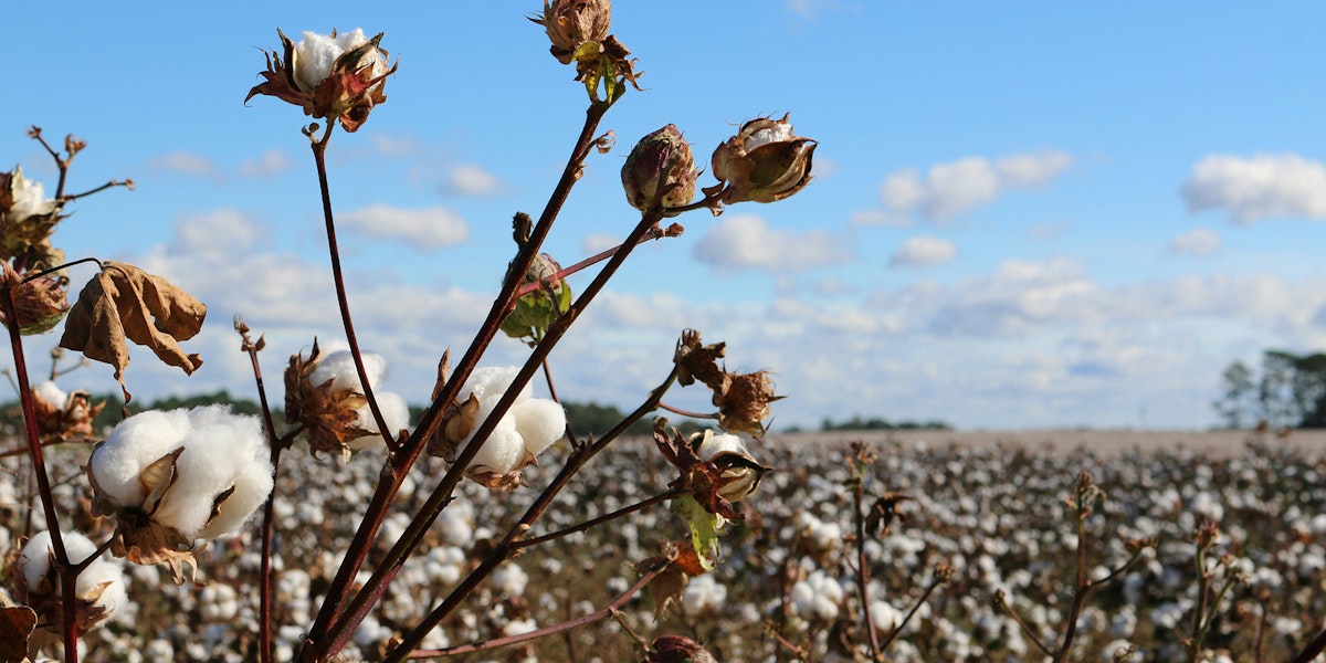 Breezy Knitting with Cotton and Linen | Farm & Fiber Knits