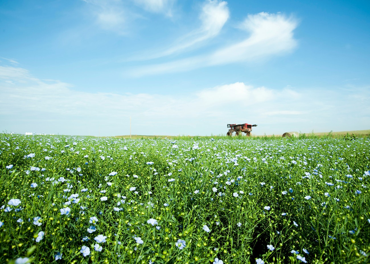 Breezy Knitting with Cotton and Linen | Farm & Fiber Knits