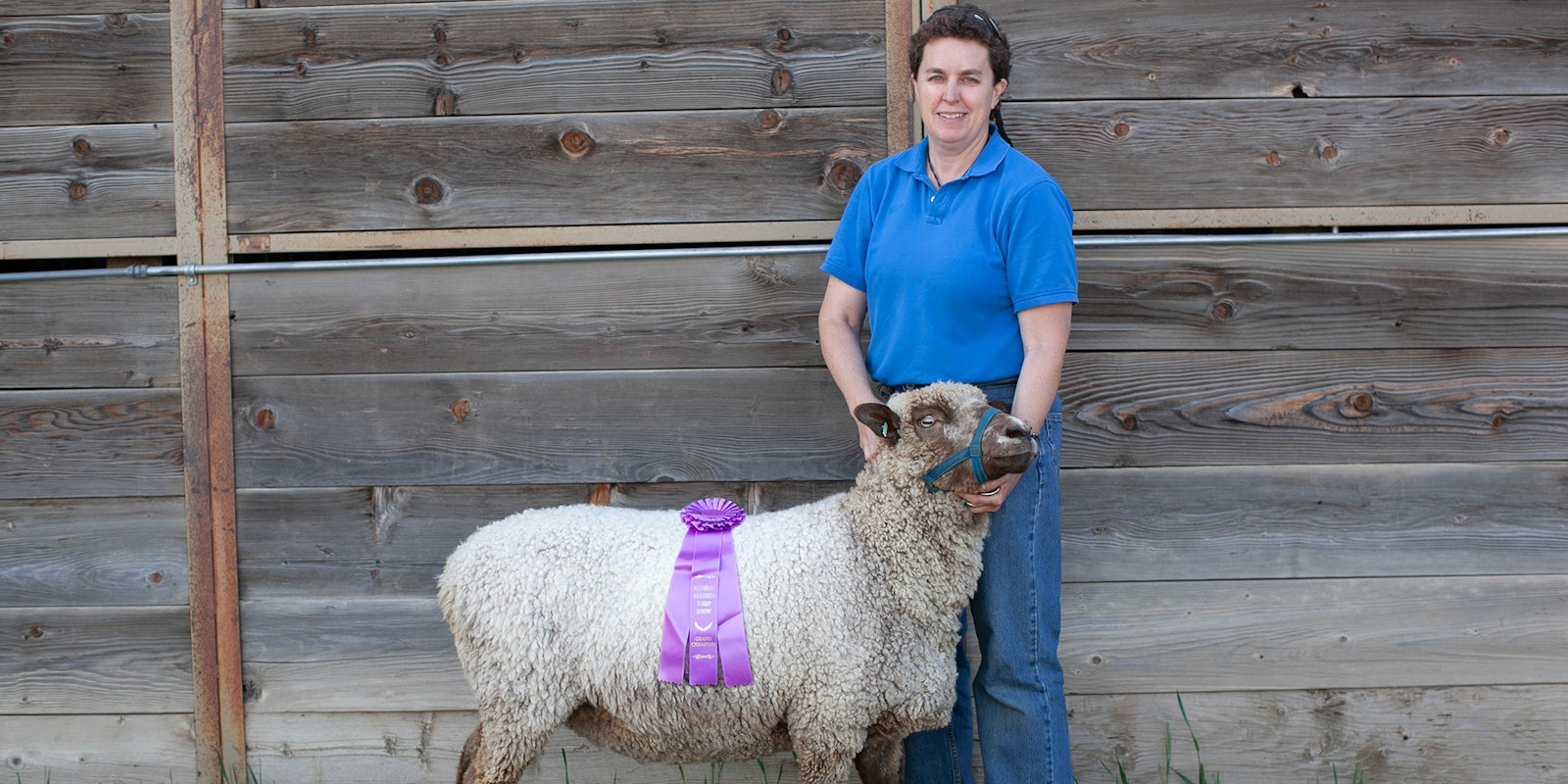 Strategies for Blue-Ribbon Knitting at the State Fair | Farm & Fiber Knits