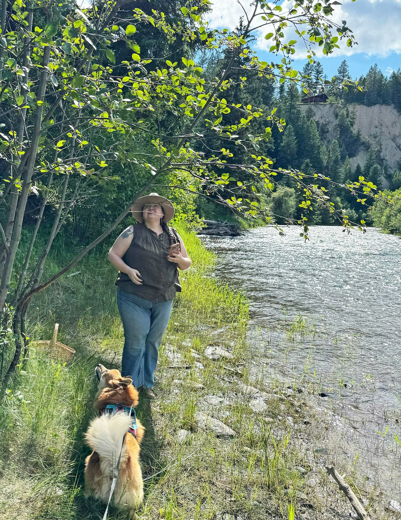 Foraging for Color: Take a Walk with a Montana Dyer | Farm & Fiber Knits