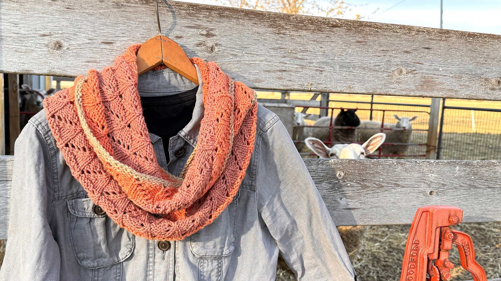 Knitting with Sheep (and a Cowl Pattern) | Farm & Fiber Knits