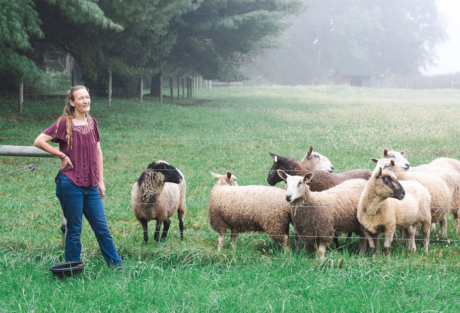 Episode 1: Feederbrook Farm & Breed-Specific Yarn | Farm & Fiber Knits ...