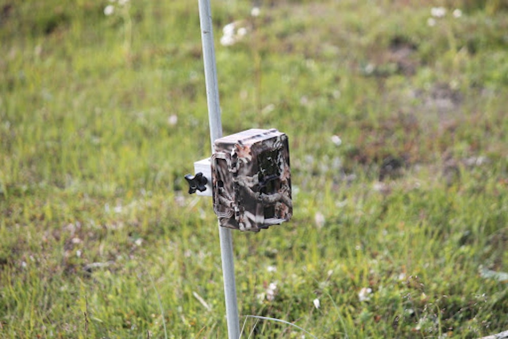 Your Guide to Finding the Best Trail Cam on the Market