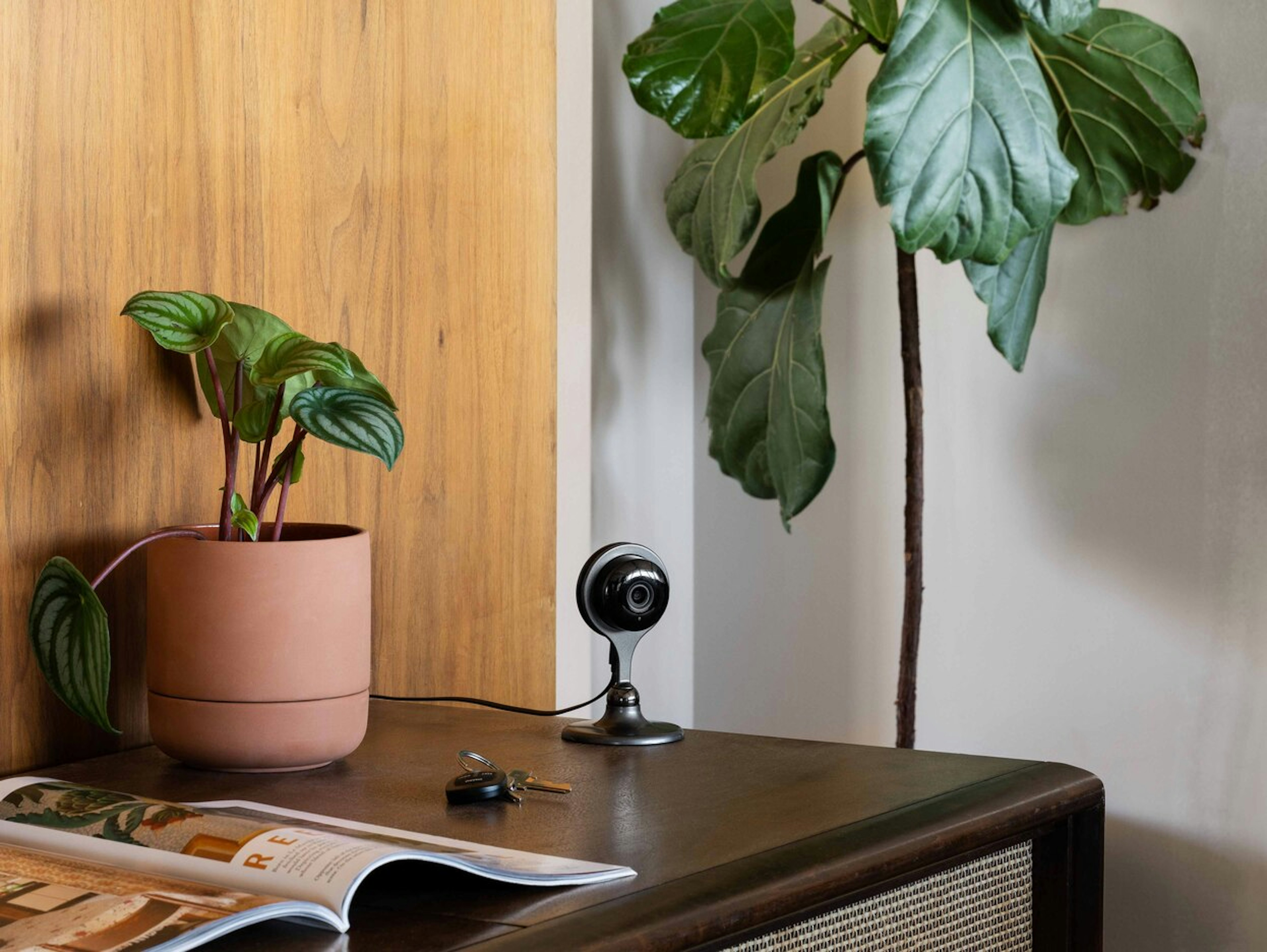 Choosing the Right Indoor Security Camera | Cove Security