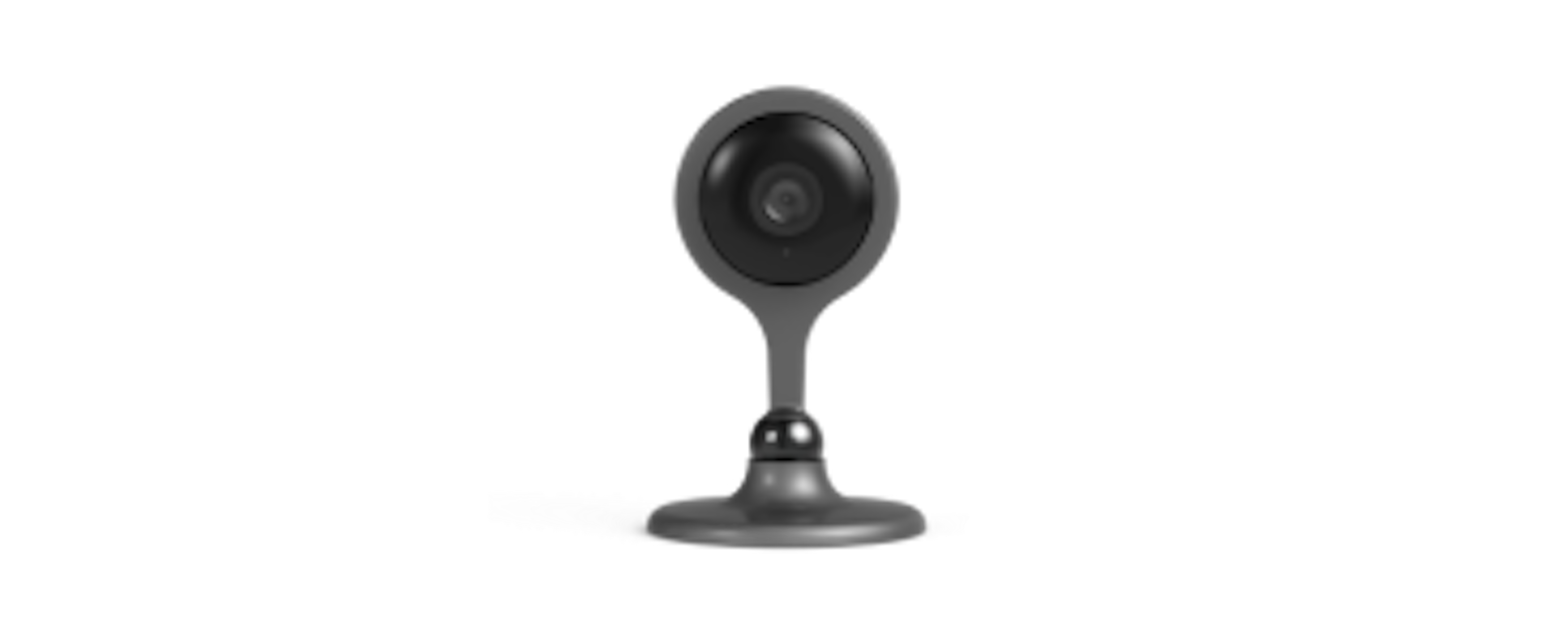 Referral Terms and Conditions | Cove Security