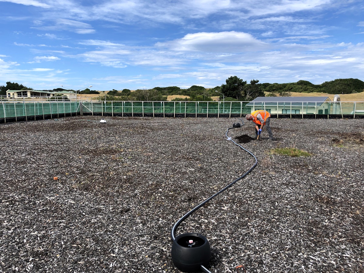 How to maintain biofilter media for continuous odour control