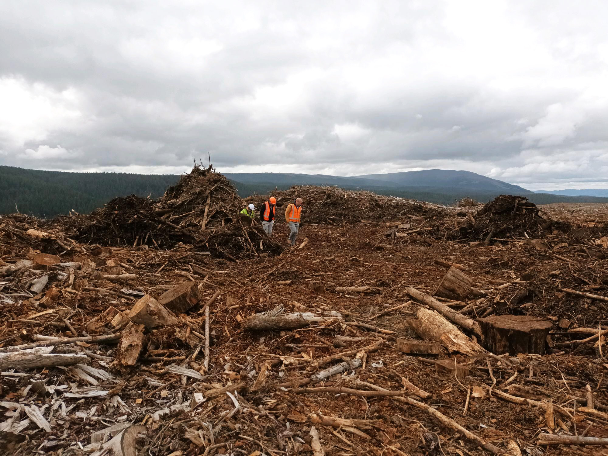 Working with Azwood on Forestry slash and residue recovery