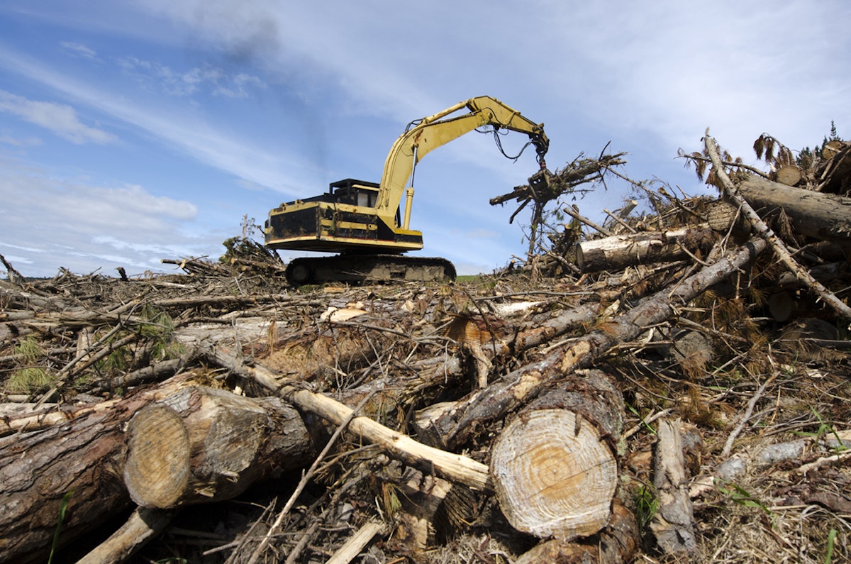 Working with Azwood on Forestry slash and residue recovery