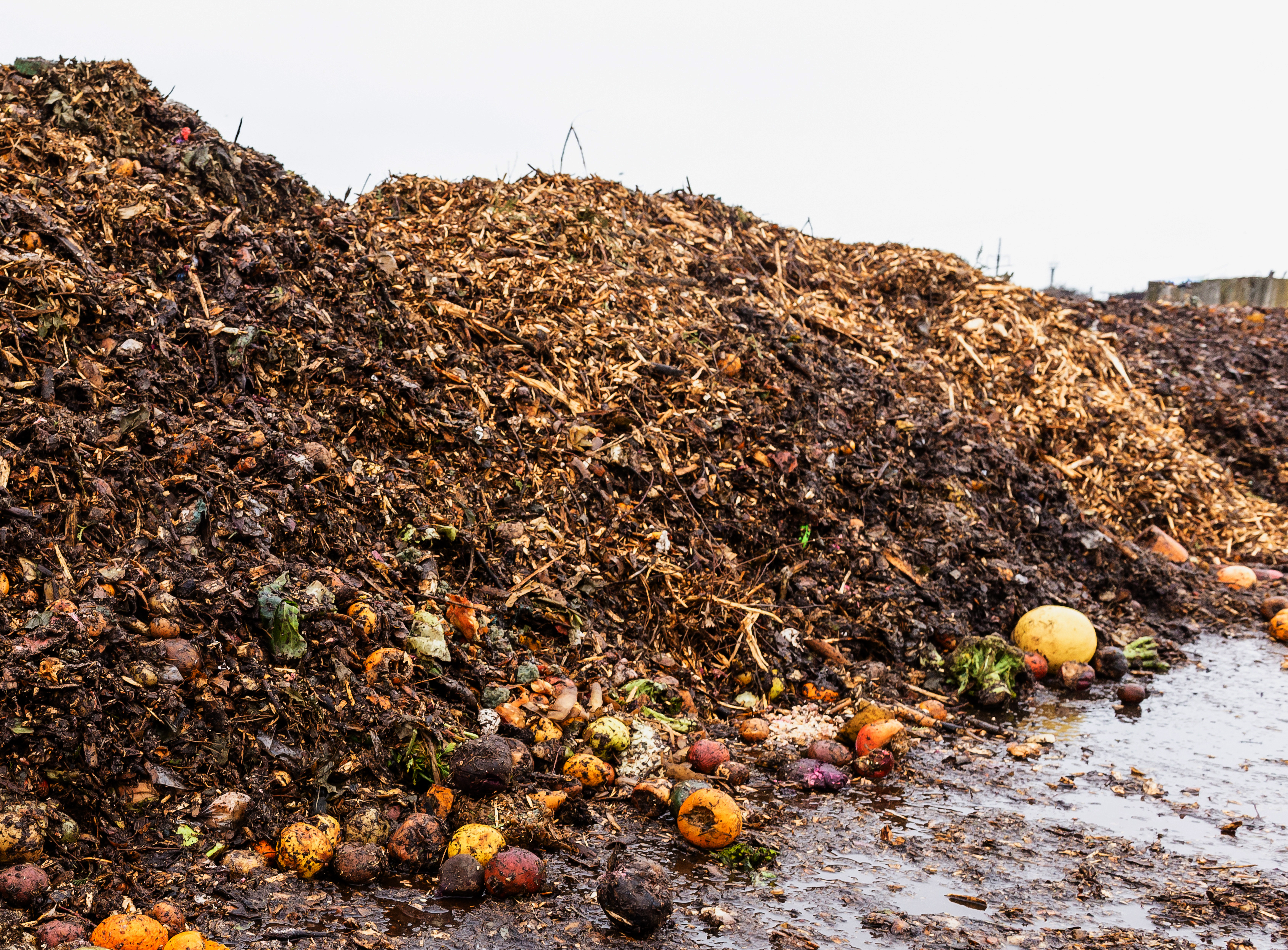 Repurpose orchard waste into compost