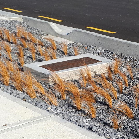 Council created rain gardens with custom bioretention media