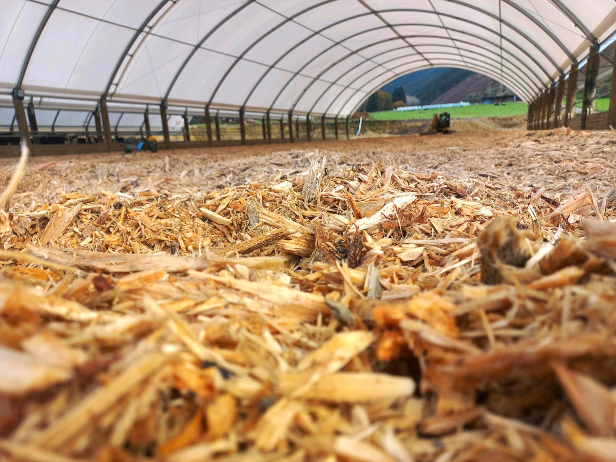 Animal Bedding
