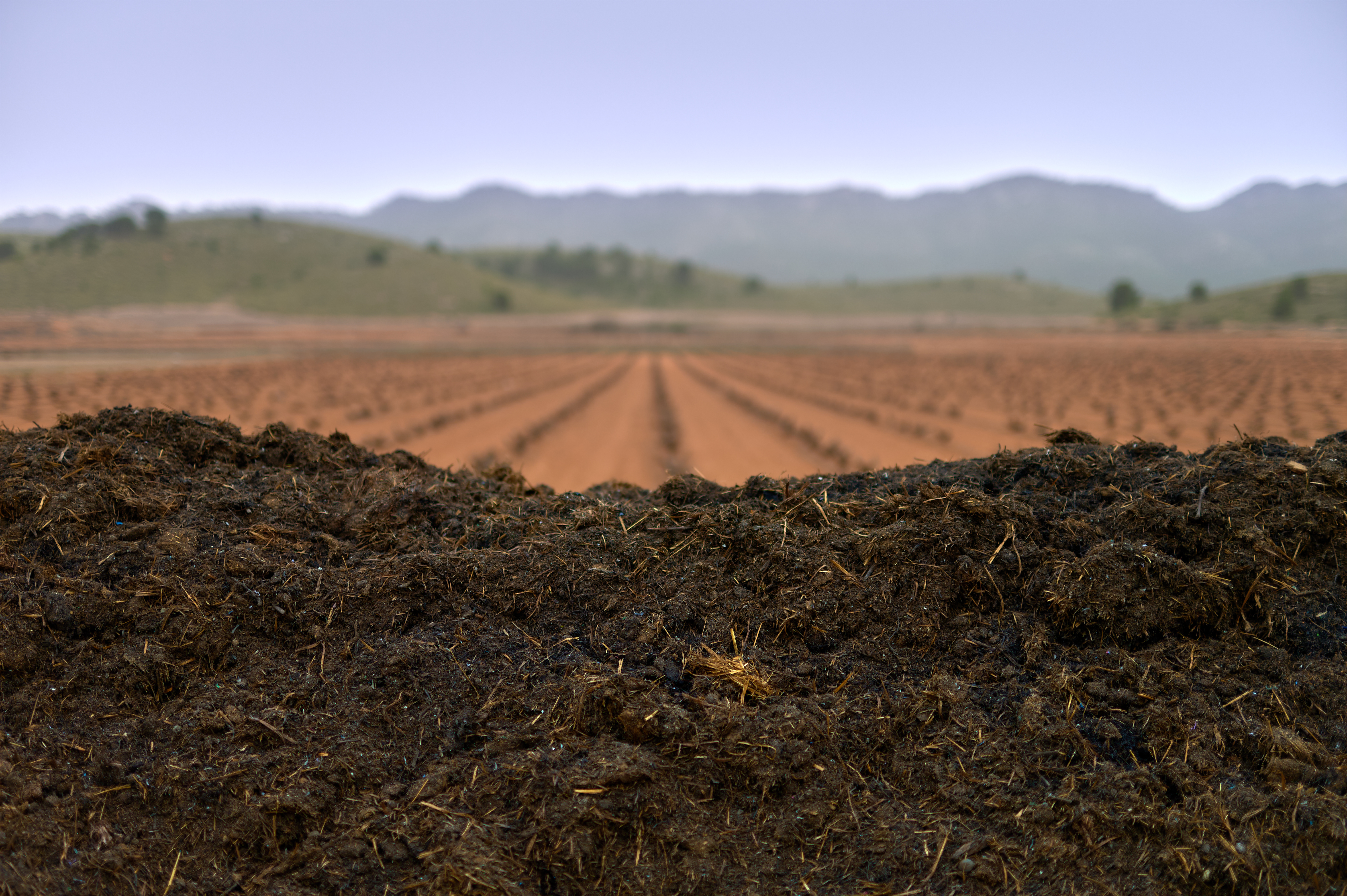 Long-term benefits of commercial compost