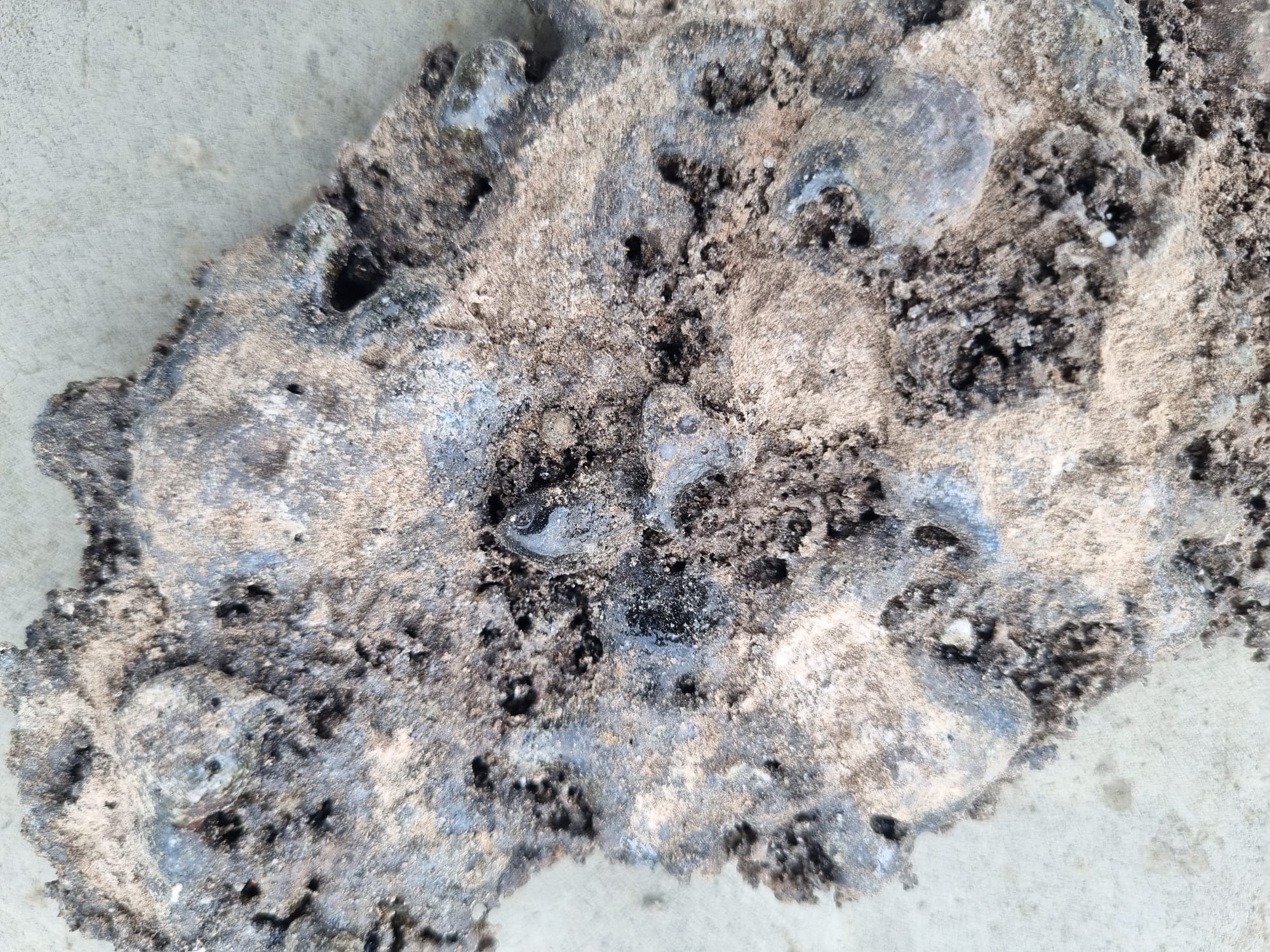 Clinker Formation in Biomass Boiler - What is it? - Azwood