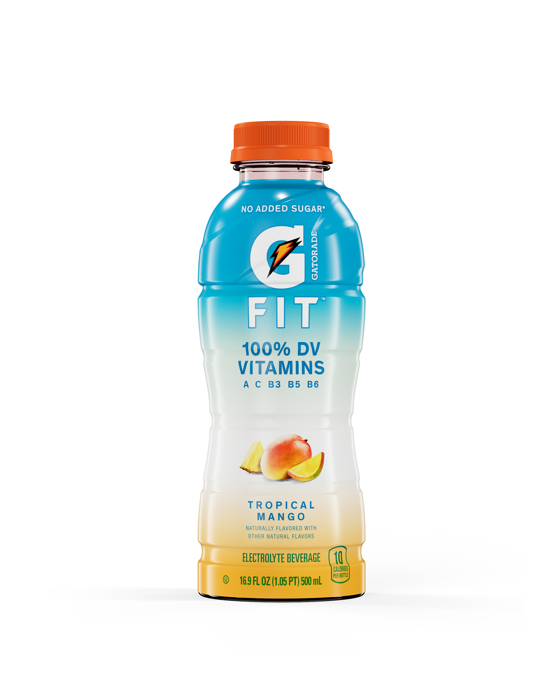 Endurance Formula Cherry Powder (32 oz) | Gatorade Official Site