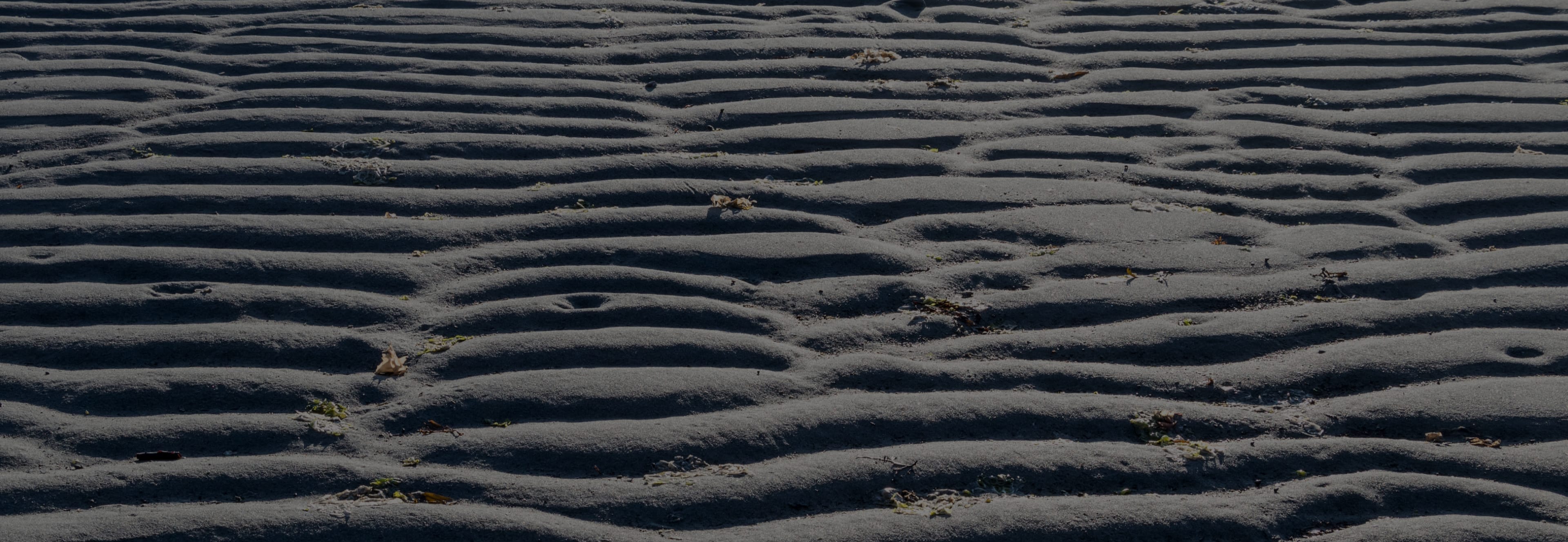 Neck Lift Bellevue | Neck Lift Seattle | Bellevue Neck Lift