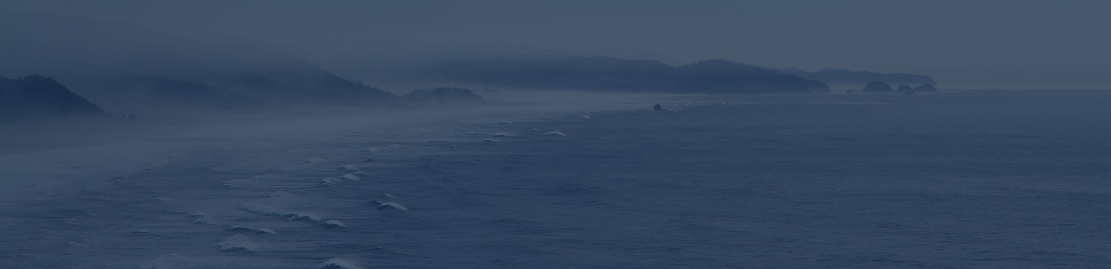 Bellevue Plastic Surgeon | Facial Plastic Surgery Seattle