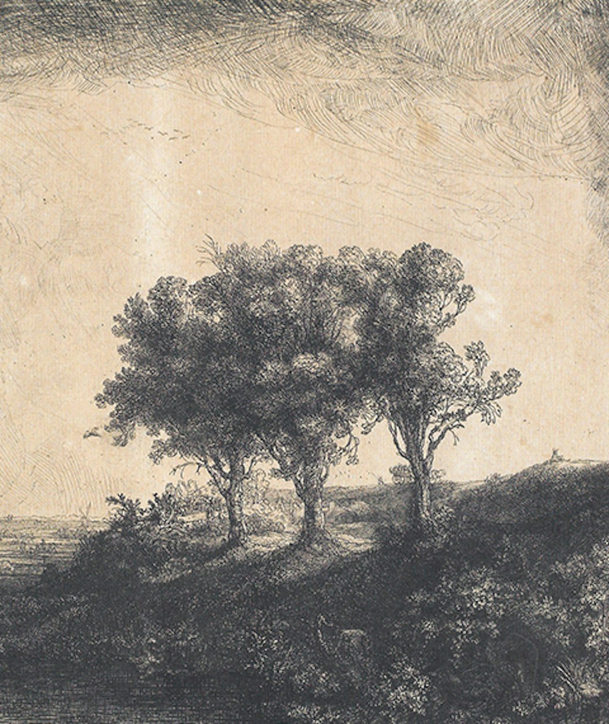 Rembrandt Etchings Trees