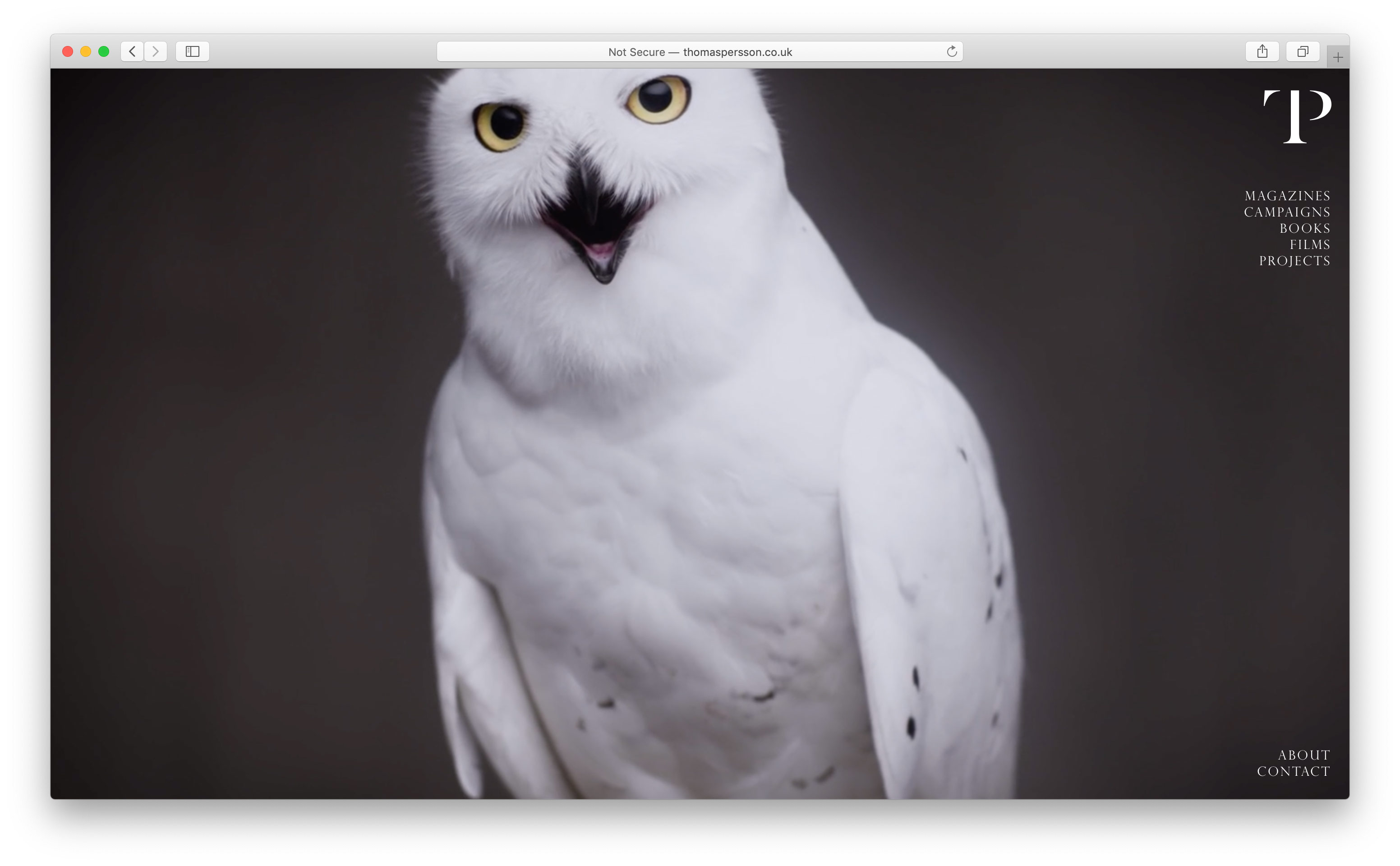 Thomas Persson — Ateljé Altmann