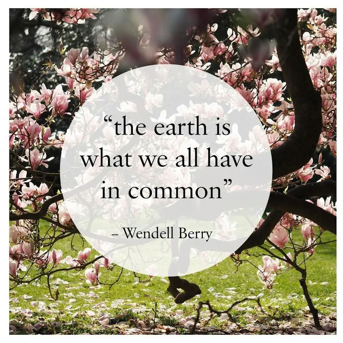 Earth Day 2021 | Charlton Brown