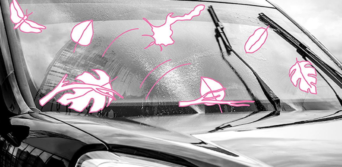 Bonus-malus ladder auto: hoe werkt dat? - InShared