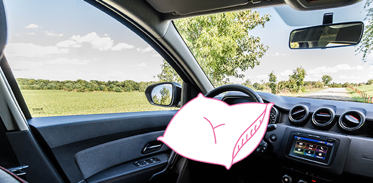 Veilig met uw hond in de auto - InShared