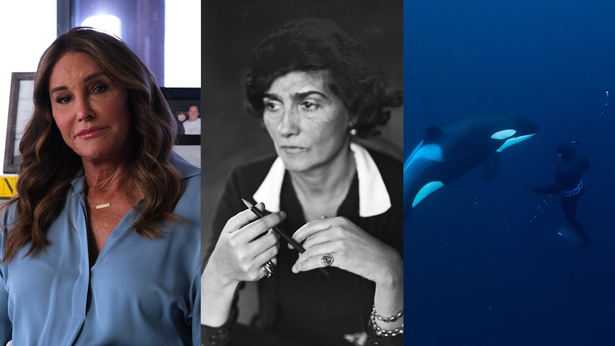 International sales secured for non-scripted line-up at MIPCOM