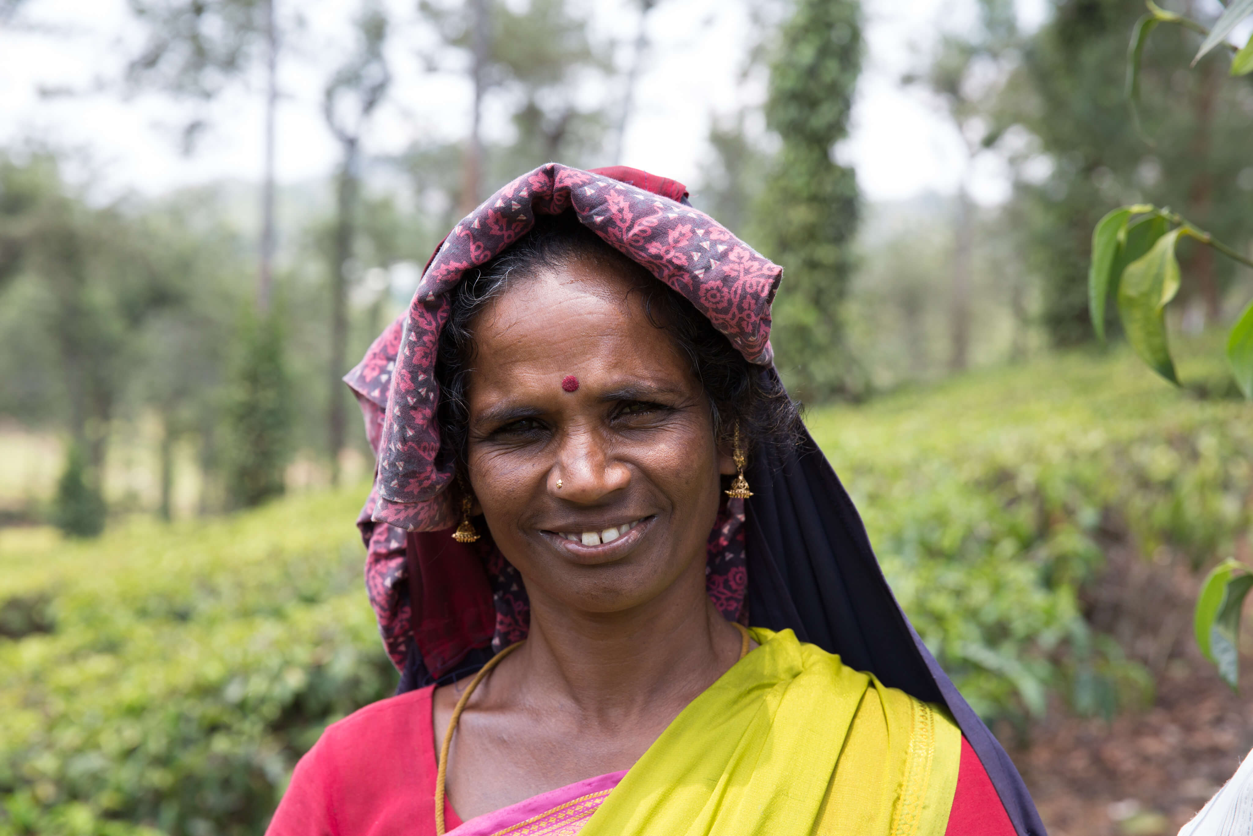 Faces of India