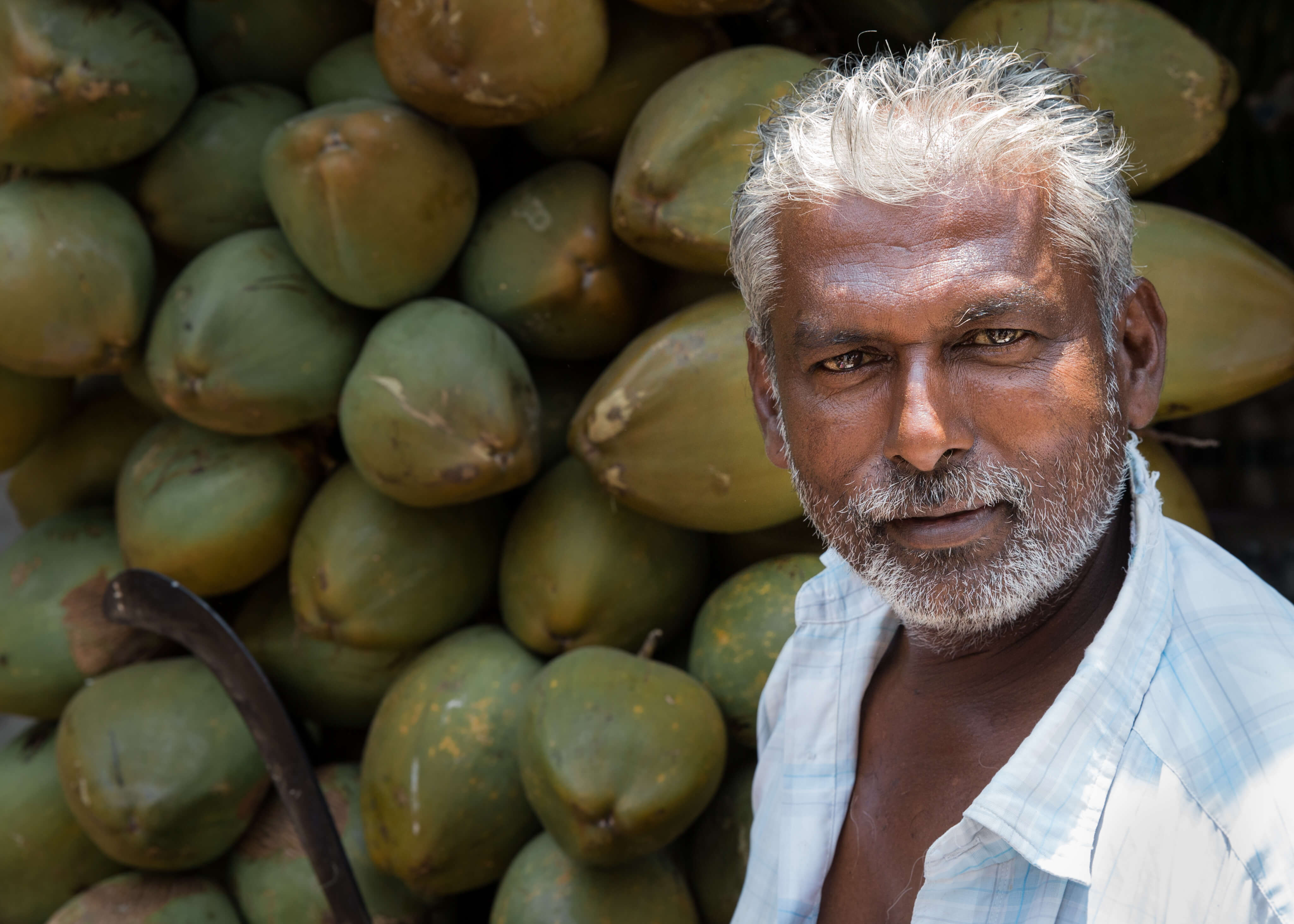 Faces of India