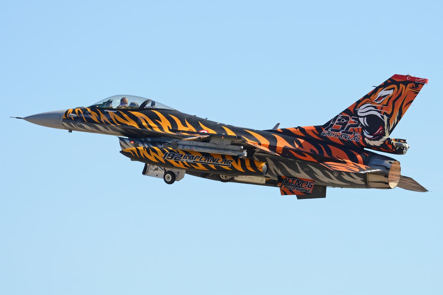 23 of the Best Fighter Jet Liveries