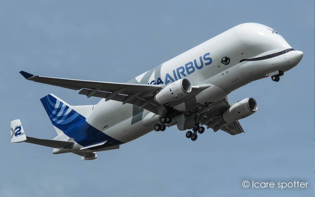 Airbus Beluga XL vs Boeing Dreamlifter Comparison | WebFlite