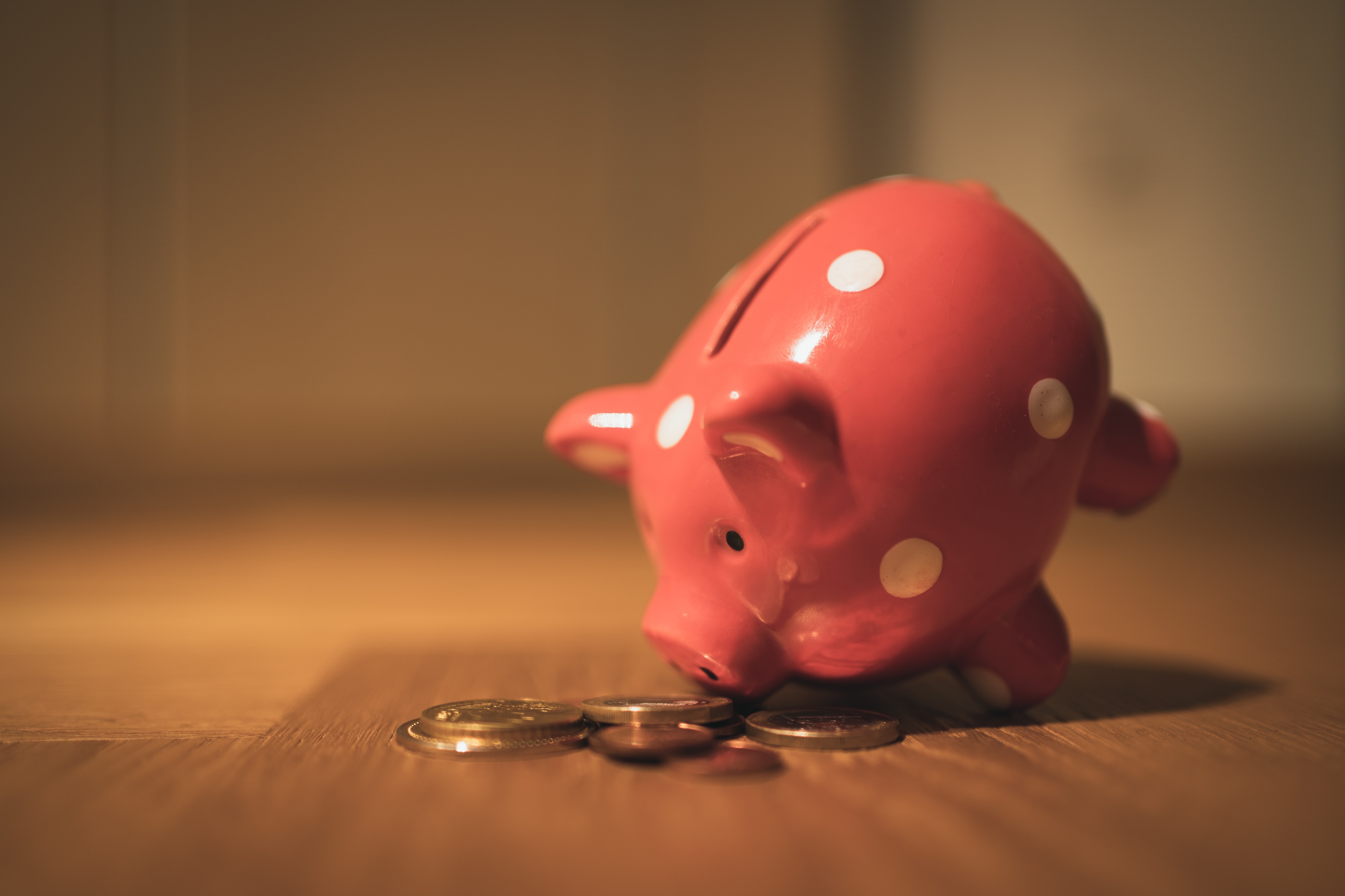 A Comprehensive Guide to Business Banking | Rauva