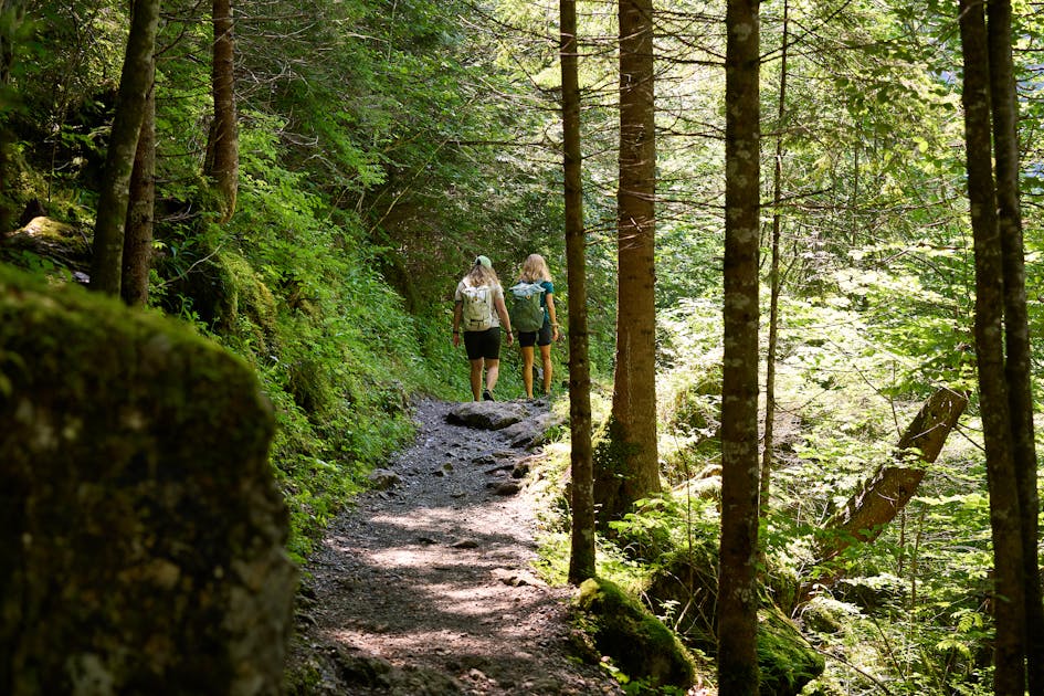 Hiking in spring: beautiful routes for a spring hike - Transa.ch