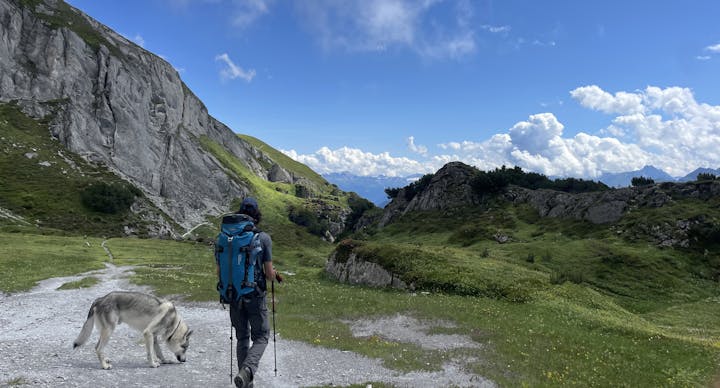 Schöne Wanderwege Mit Hund In Der Nähe