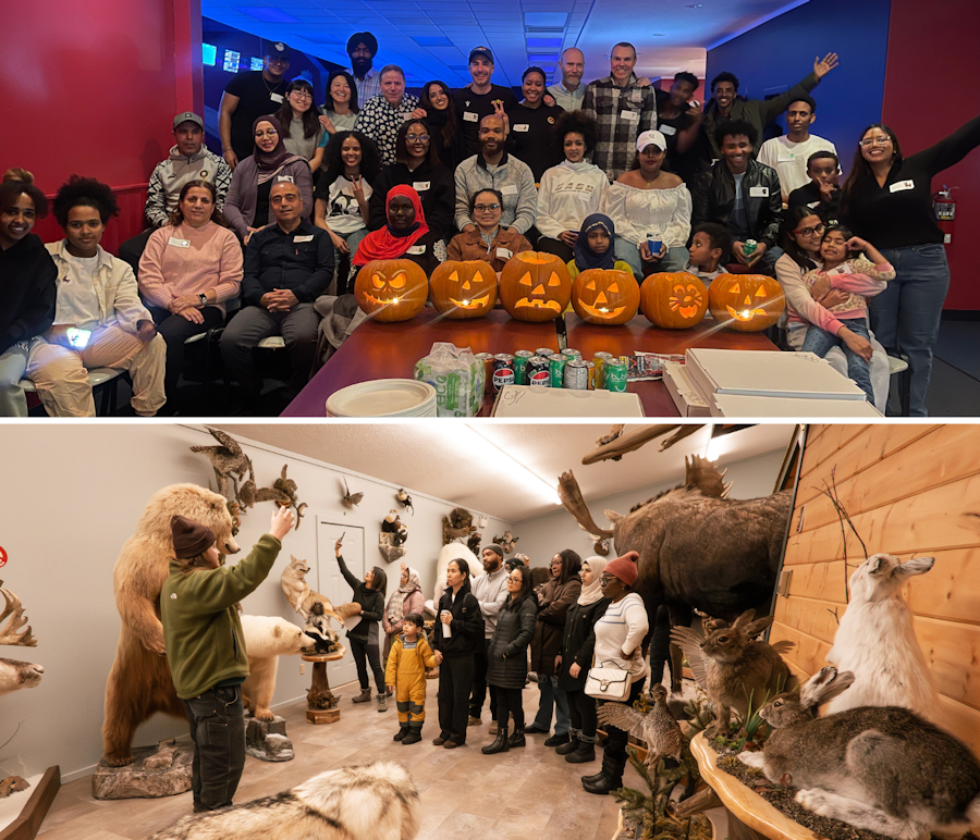 LINC and CLIC Community and Cultural Activities: Learning Language by ...
