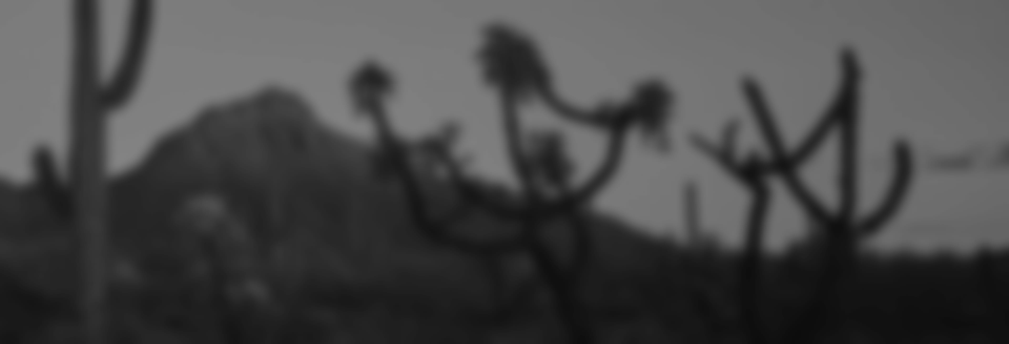 Fees & Financing | Dr. Repta