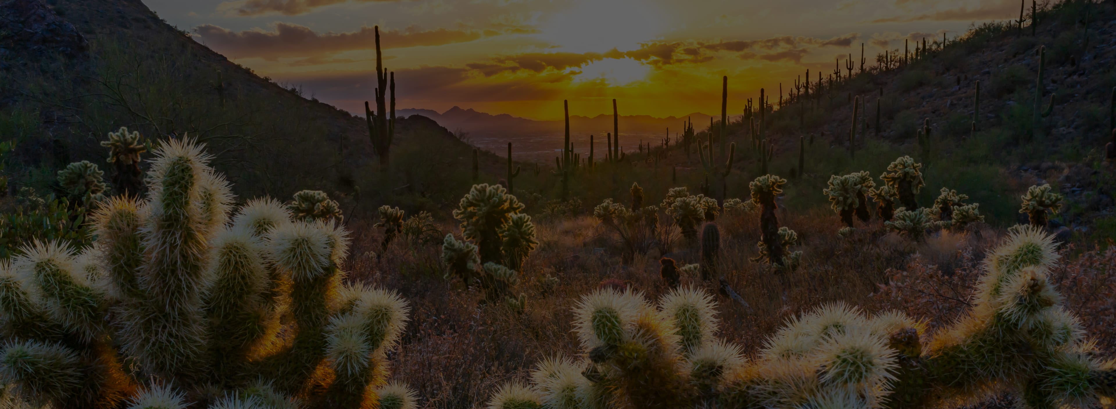 Abdominal Reconstruction Scottsdale | Dr. Repta