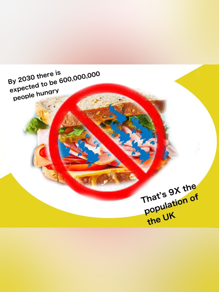 View Fact-ivism Card for Zero Hunger View Fact-ivism Card for Zero Hunger