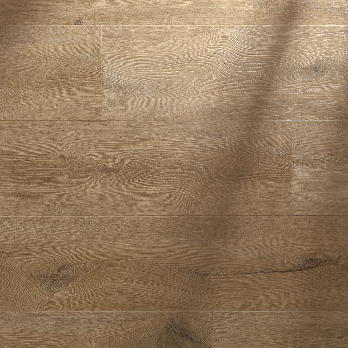 Teddy Bear | Floorify