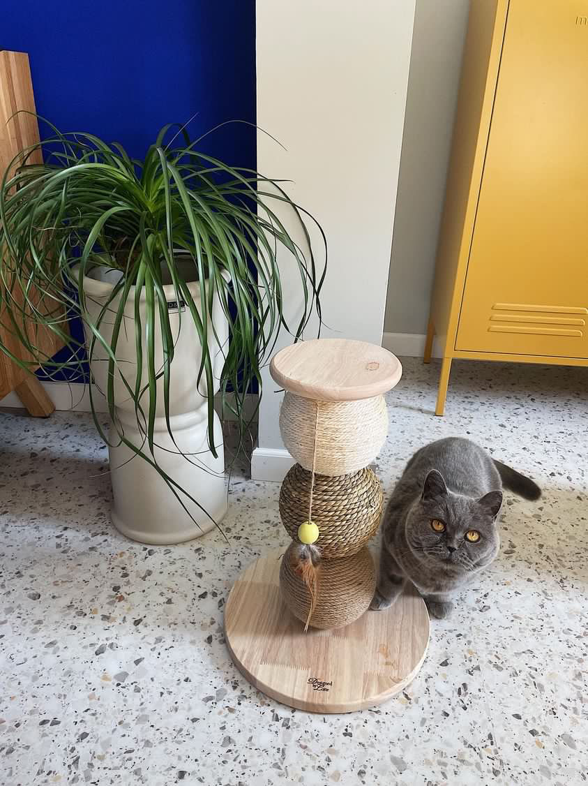 Plantstodo | Floorify