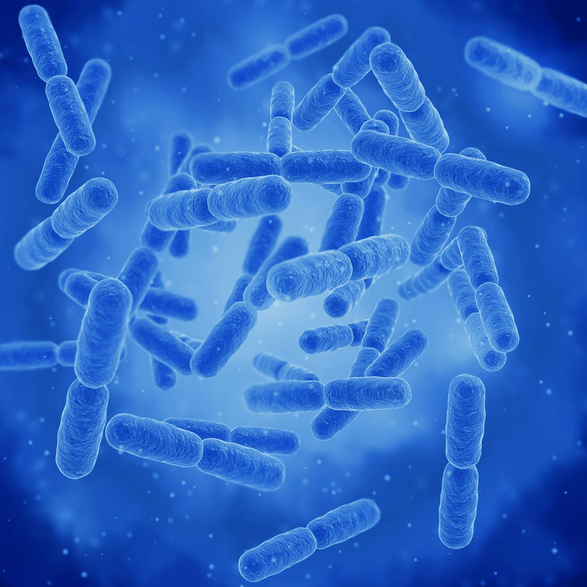 Life sciences | Hidex