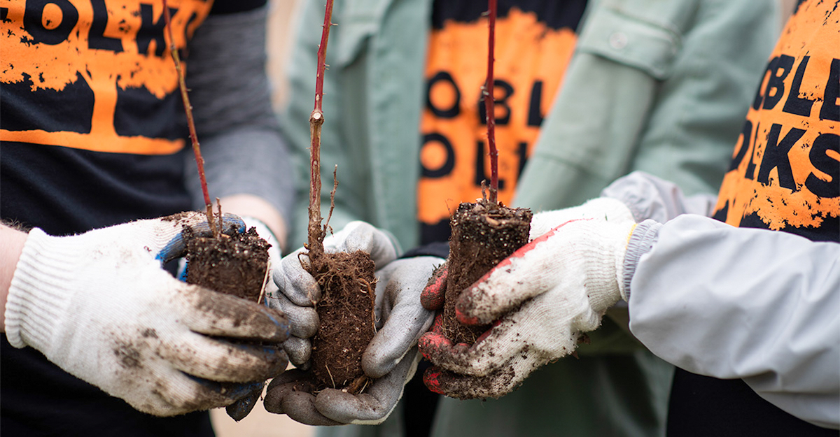 Dollar Trees: Distilleries Kick in on Reforestation | Spirits & Distilling