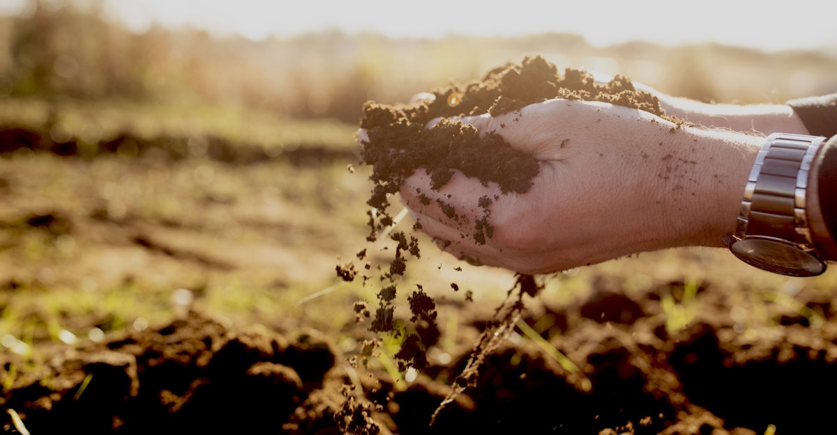 Might “Cold Peating” Offer a New Approach for American Single-Malt ...