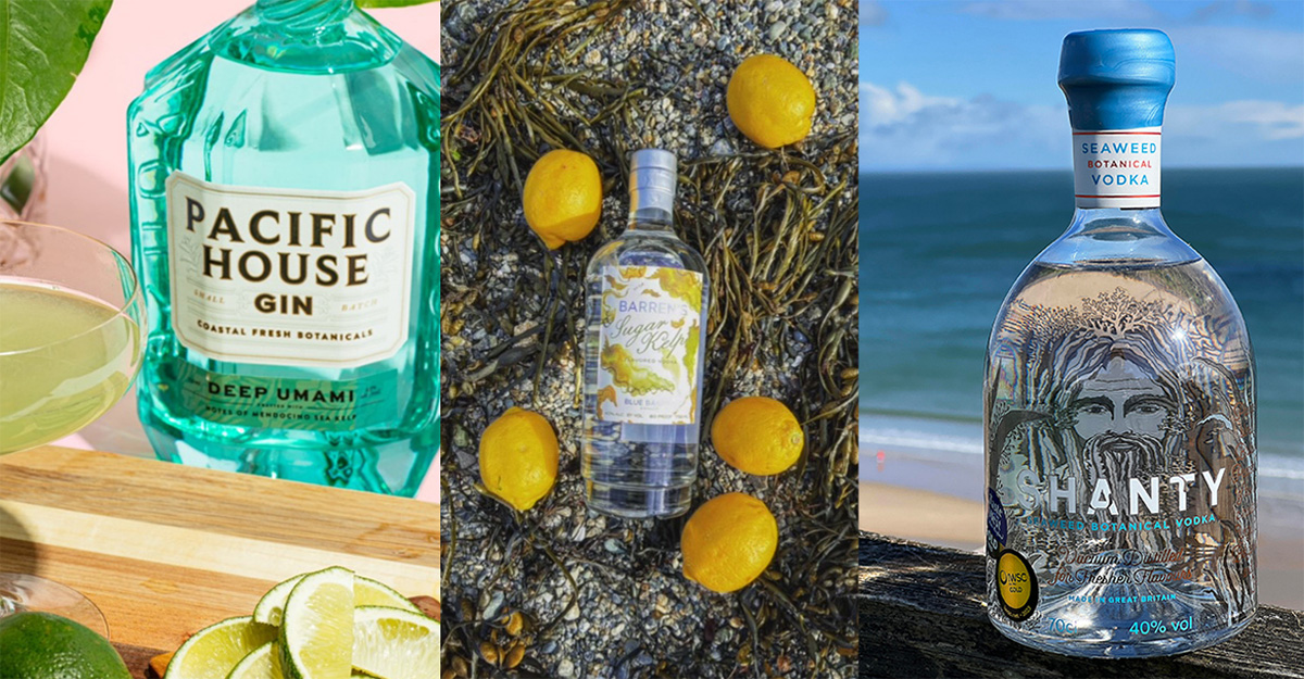 Seaweed Is Making Waves in Spirits | Spirits & Distilling