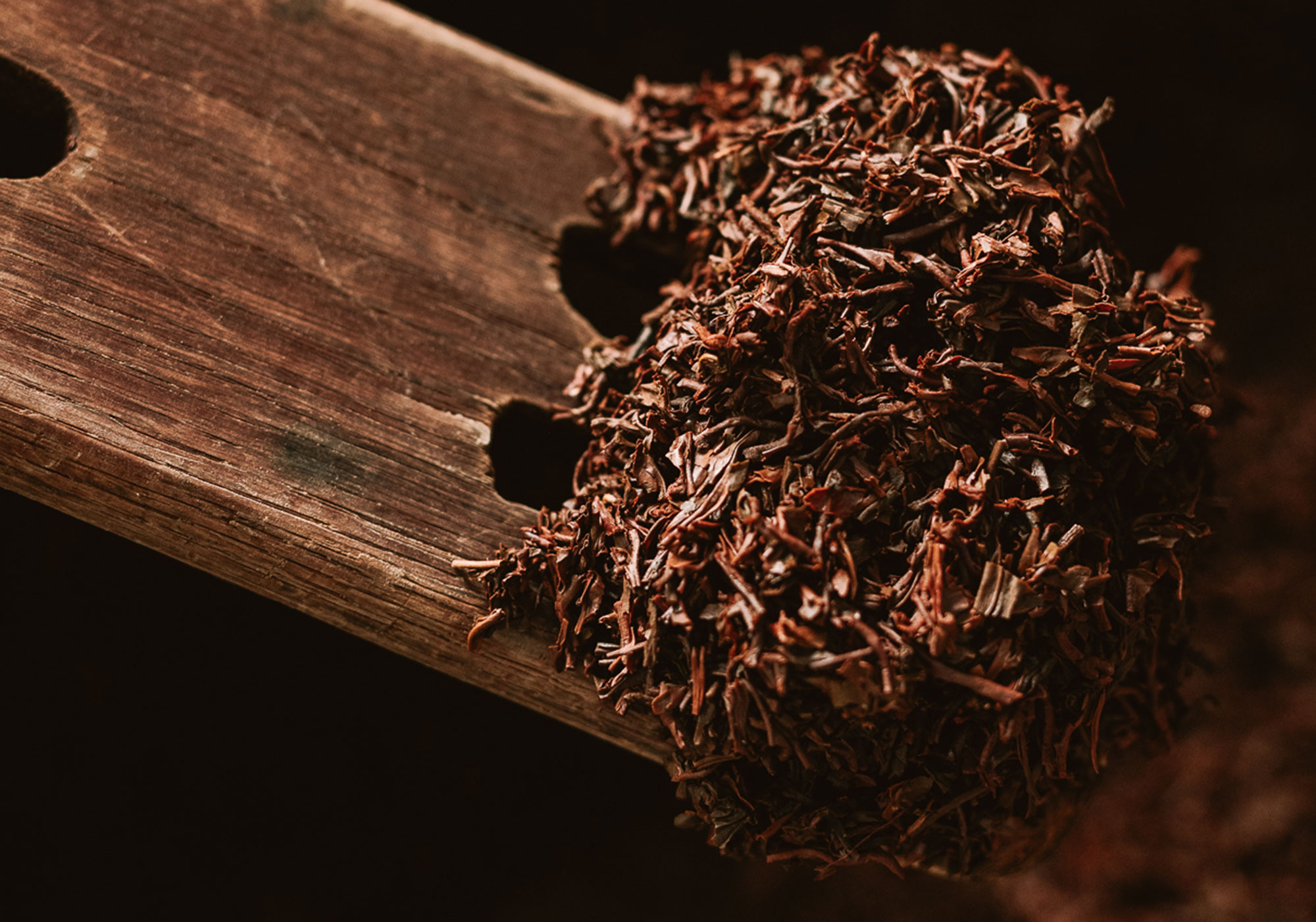 Spill the Tea: Liqueurs that Harness the Flavors of Camellia Sinensis ...