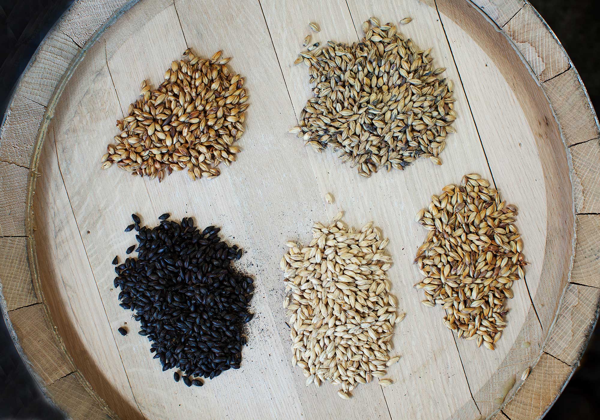 Using Specialty Malts to Build Character in Spirits | Spirits & Distilling