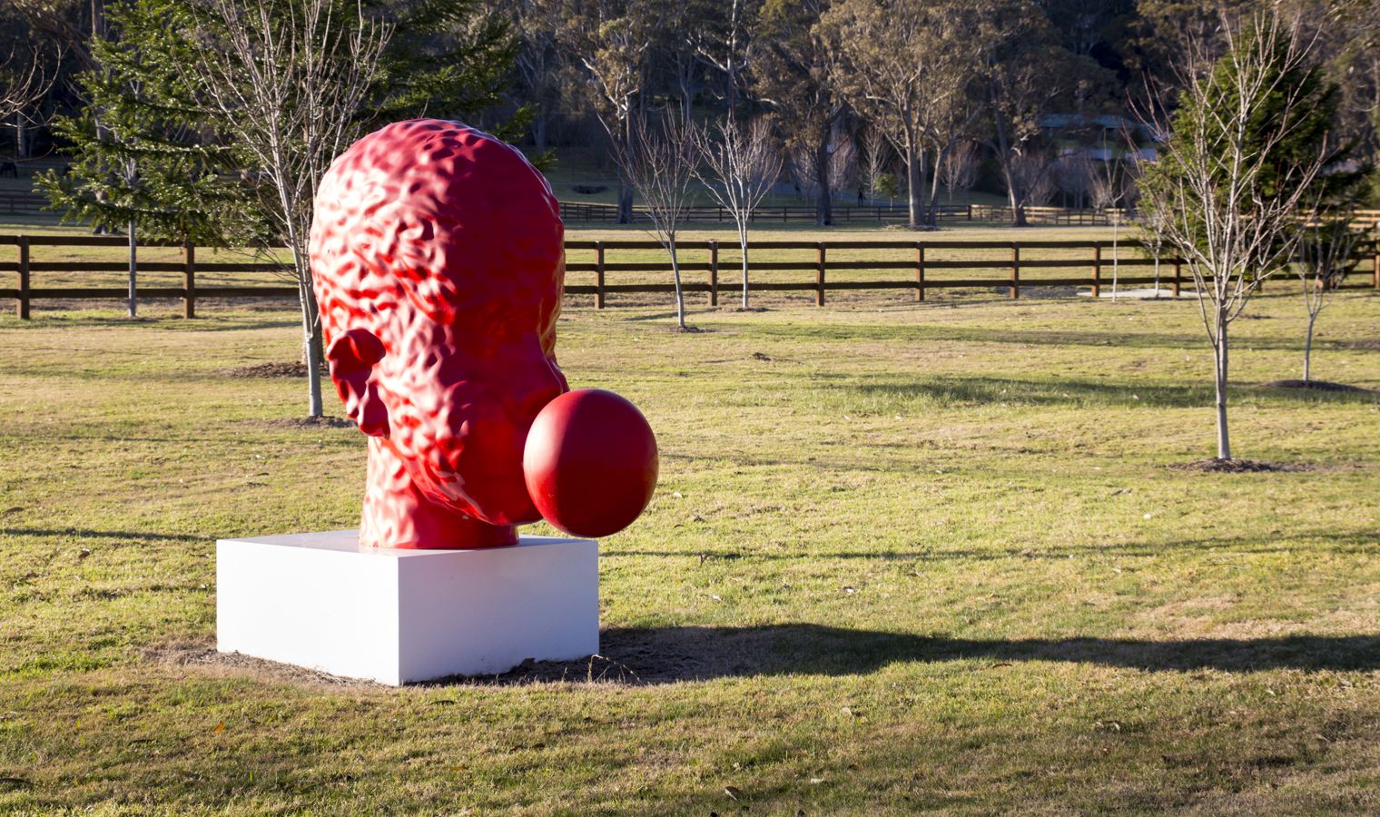Willinga Park | Sculptures
