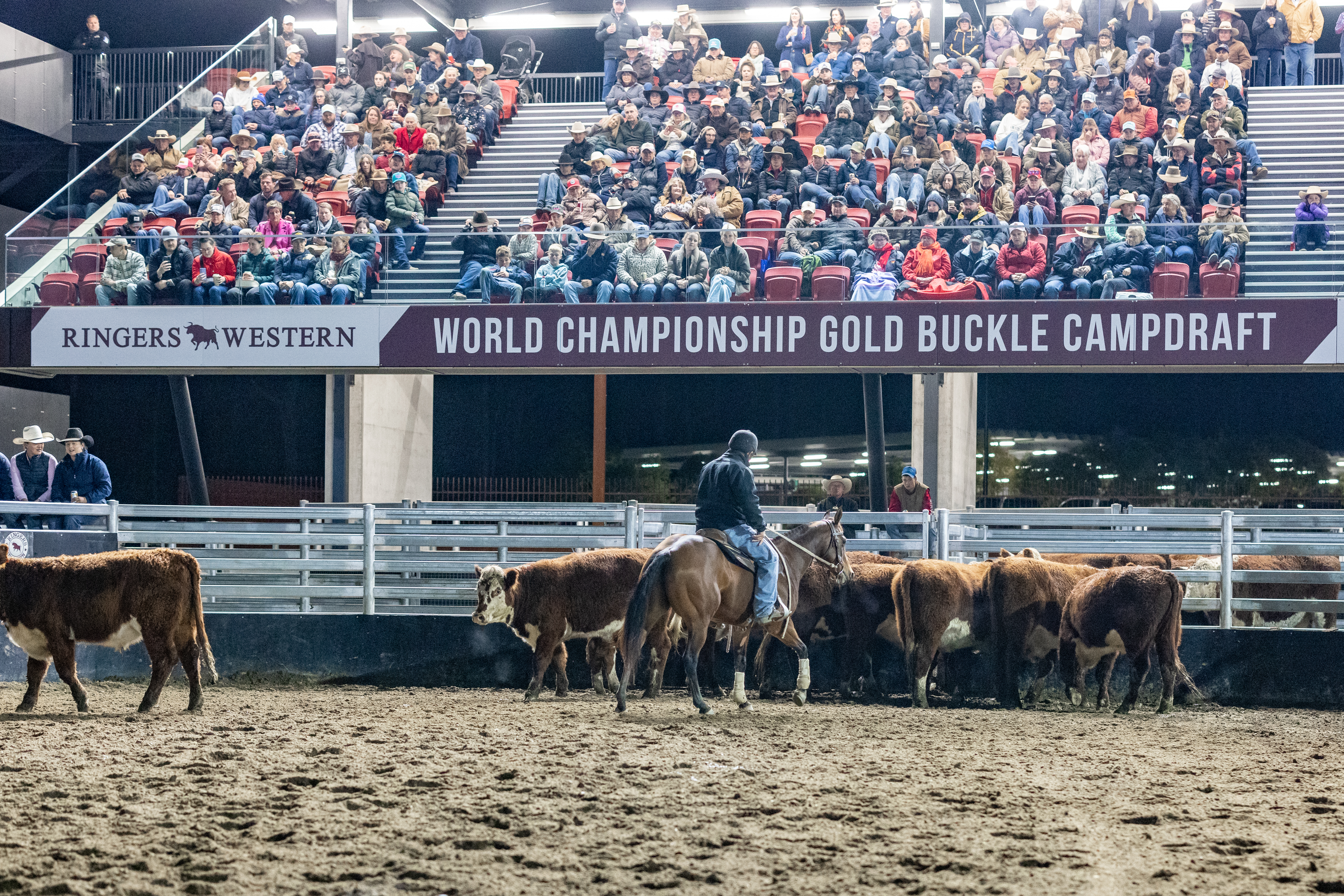 Willinga Park | Ringers Western Gold Buckle Campdraft 2025 | Spectator ...