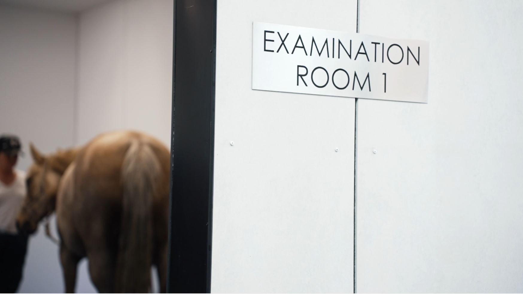 Willinga Park | Information for referring vets